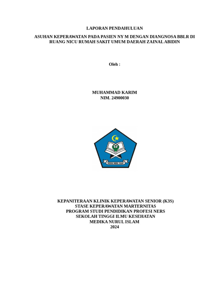 Laporan Pendahuluan BBRL Karim Ruang Nicu | PDF