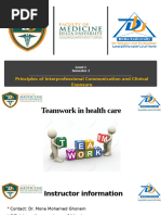 Template On Daily Huddle | PDF | Patient Safety | Health Care