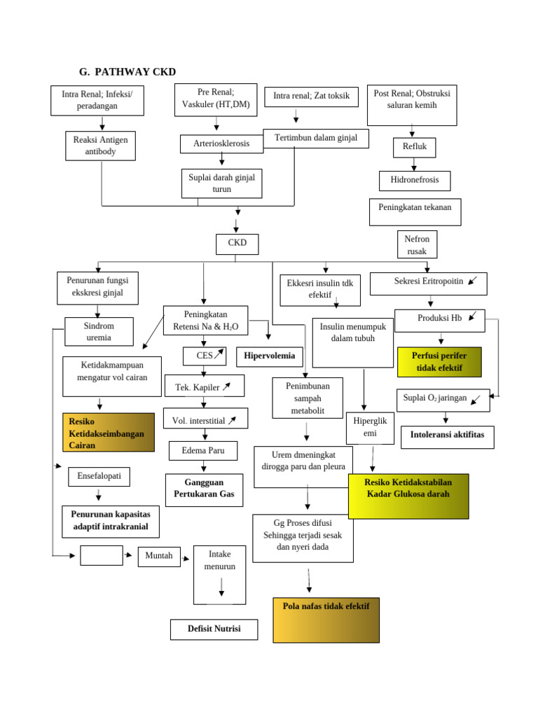 Pathway CKD Sdki | PDF