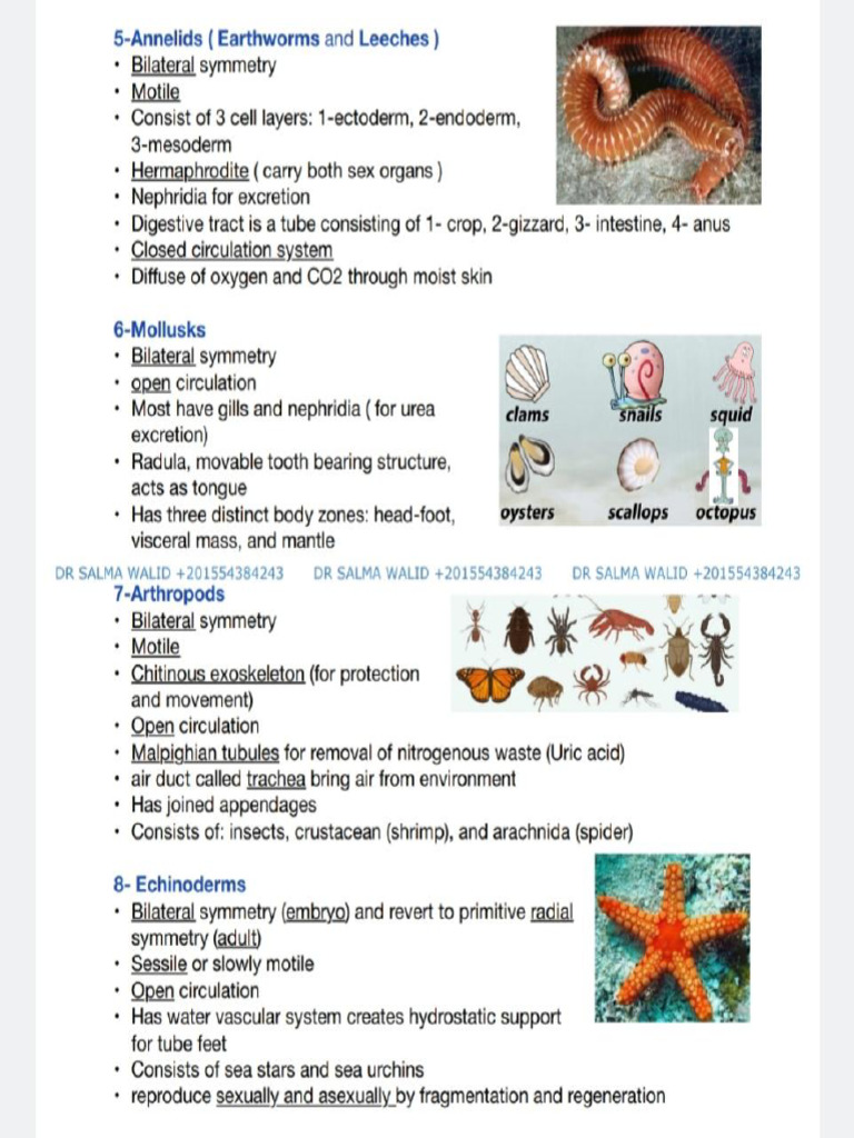 Bio Notes 2 | PDF | Social Science | Wellness