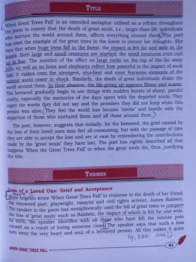 Themes of Poems | PDF | Grief