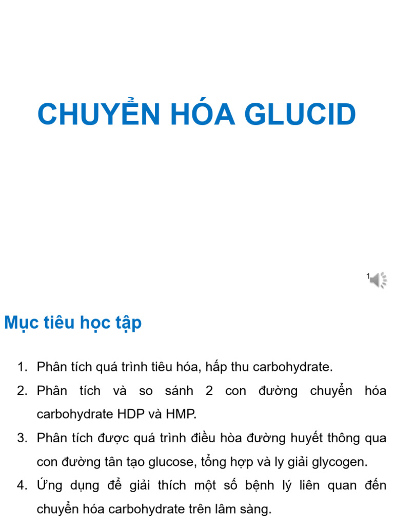 CH Glucid - V7 | PDF