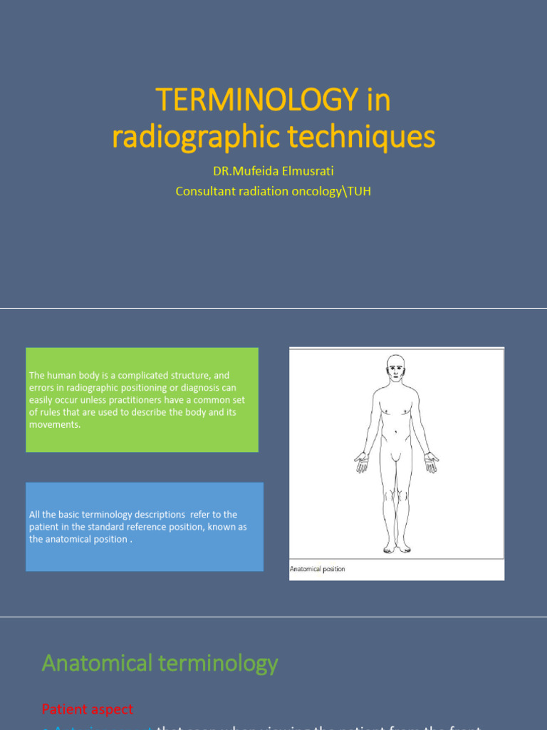 Radiographic Positioning Terminology Guide | PDF | Anatomical Terms Of ...