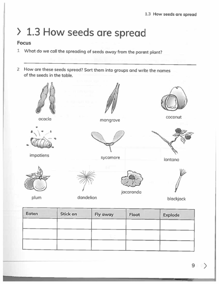 Seed Spread Ws 1 | PDF