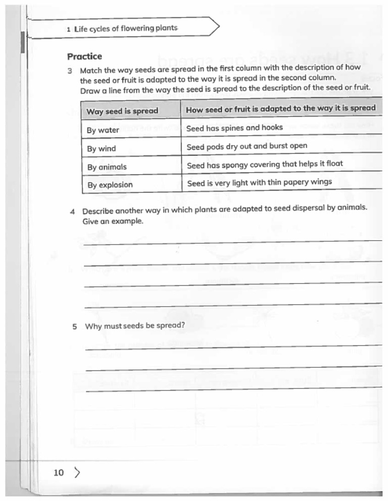 Seed Spread Ws 2 | PDF