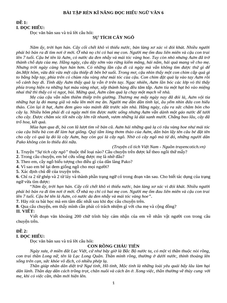 BÀI TẬP NV6 (TT - CT) | PDF