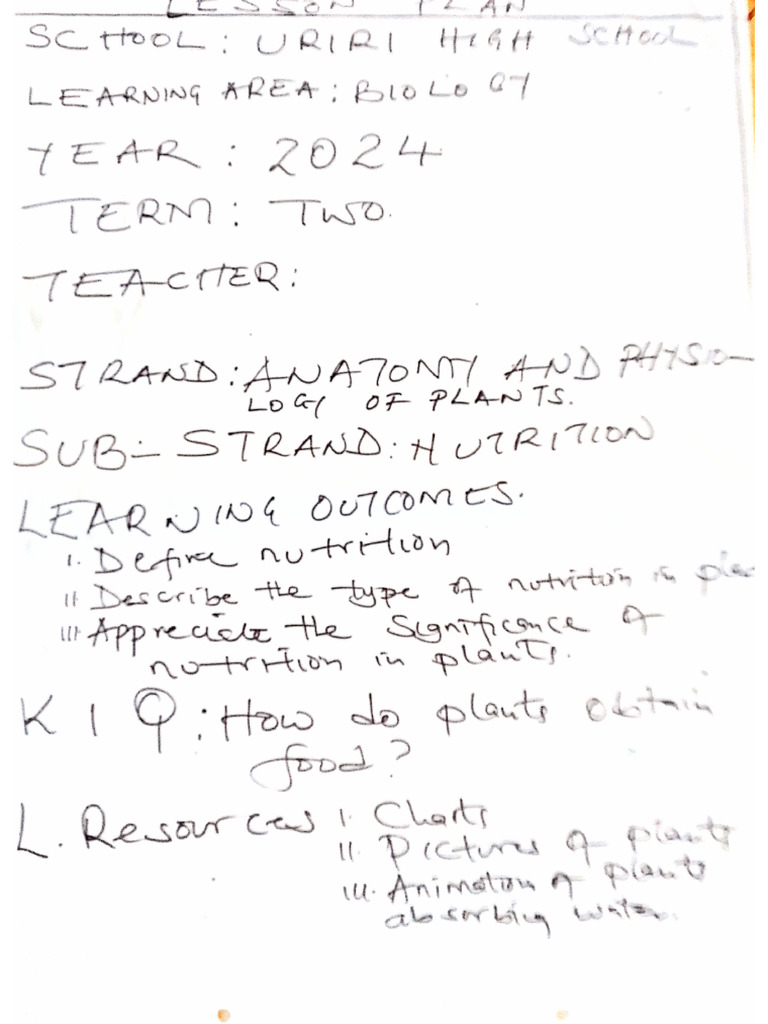 Lesson Plan Uriri | PDF