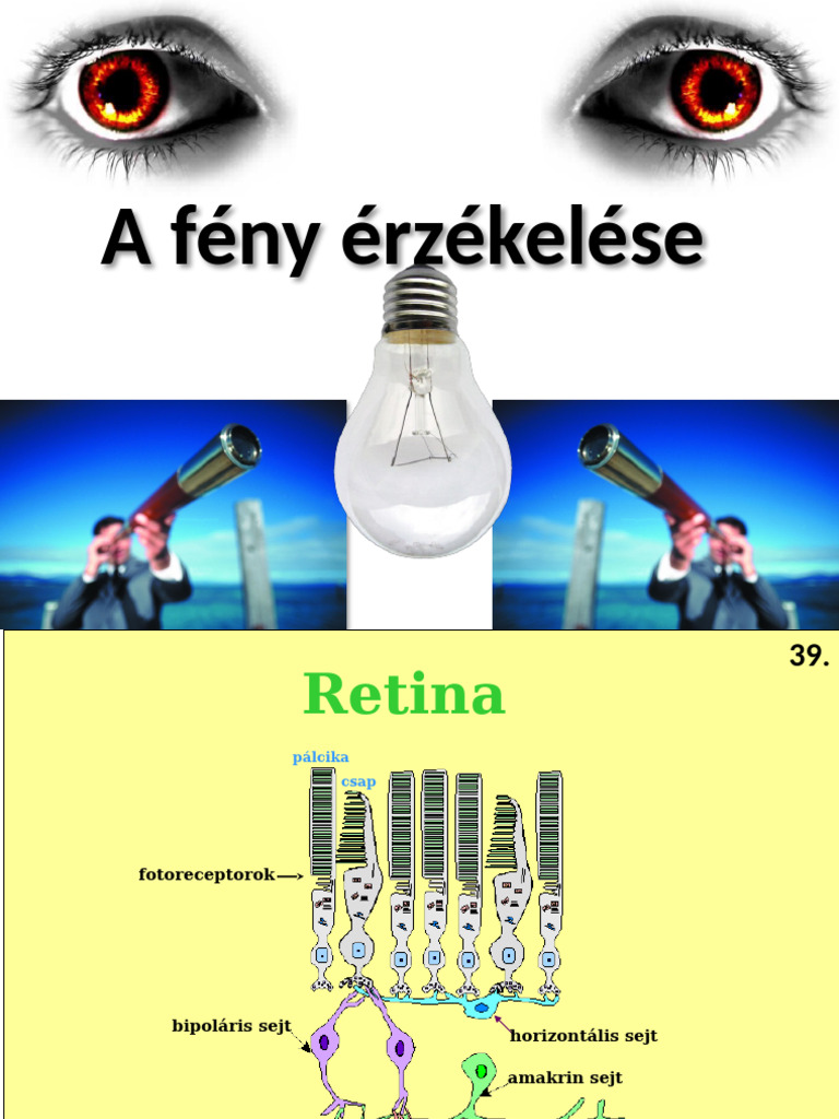 4.A Feny Erzekelese | PDF