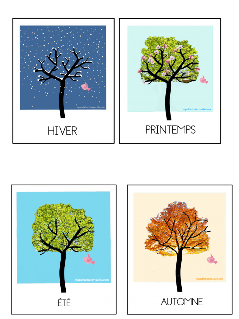 Imagier Arbre 4 Saisons | PDF