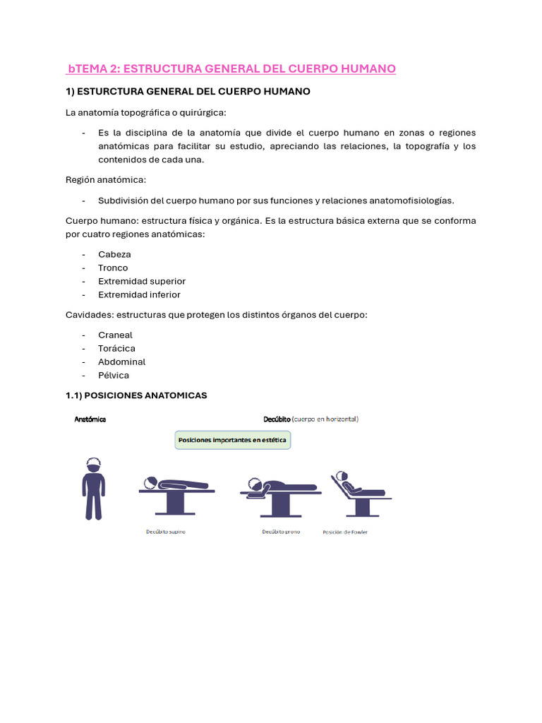 Apuntes Procesos Fisiologicos Tema 2 | PDF | Términos anatómicos de ...