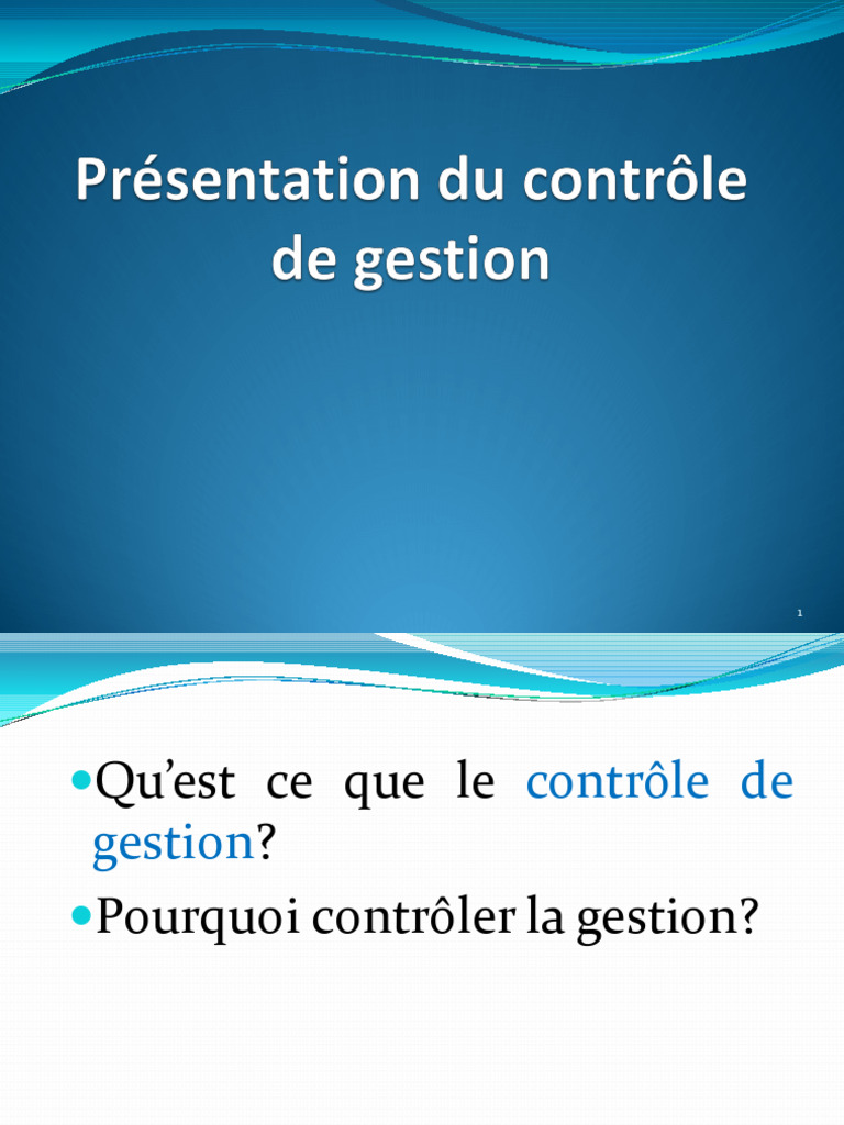 Comprendre le contrôle de gestion | PDF | Business