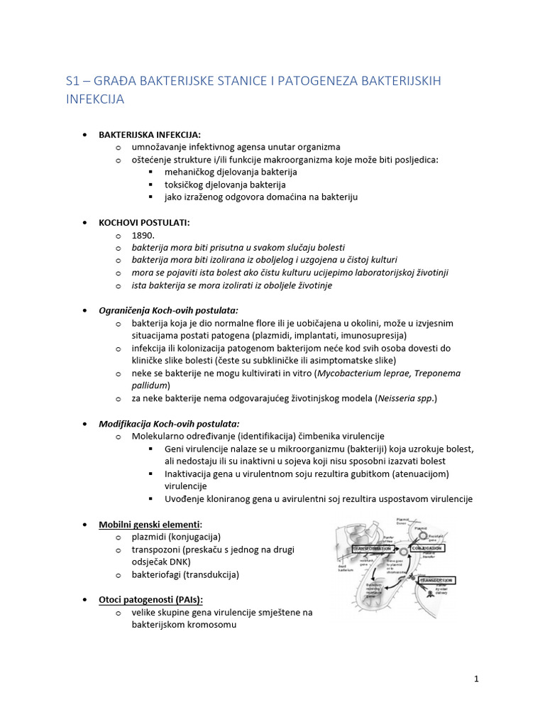 Mikrobi - Skripta | PDF