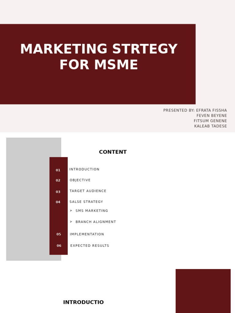 MSME Proposal | PDF | Small And Medium Sized Enterprises | Marketing
