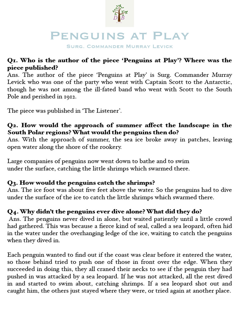 Penguins at Play | PDF | Penguin