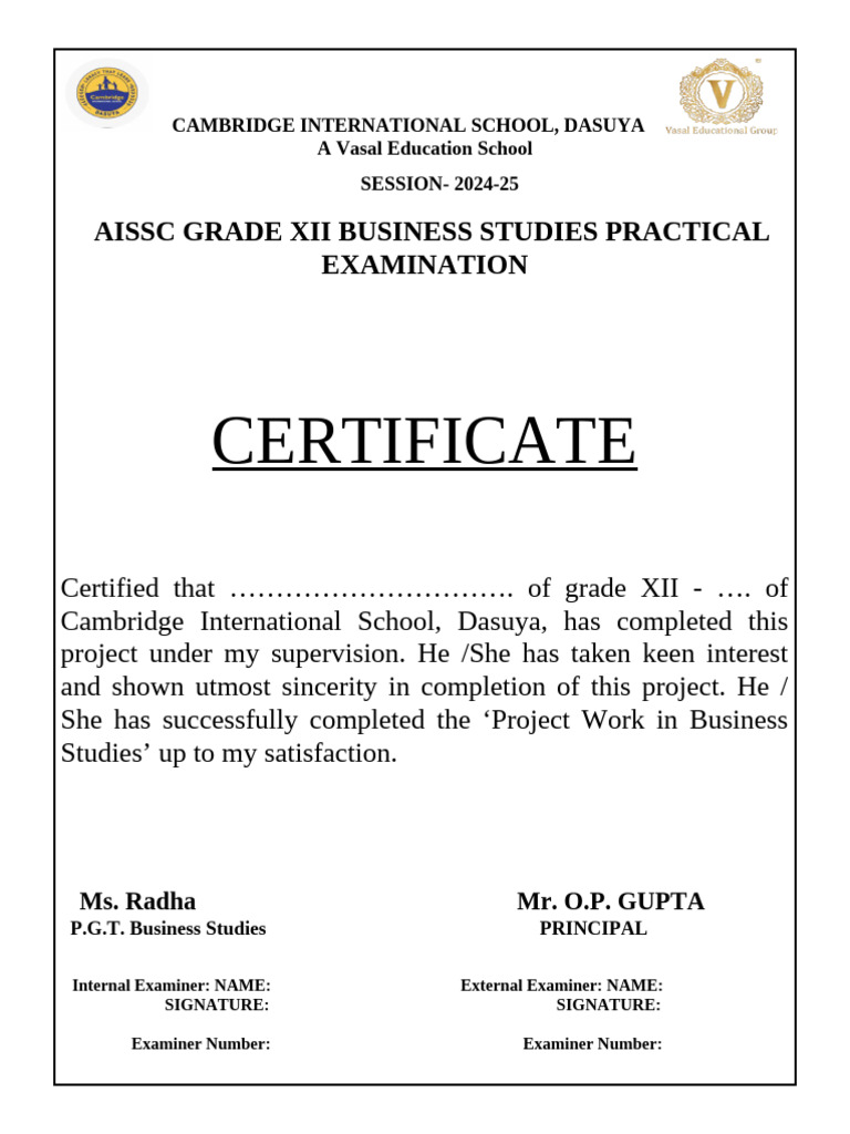 PROJECT Certificate OF BST 2024-25 | PDF