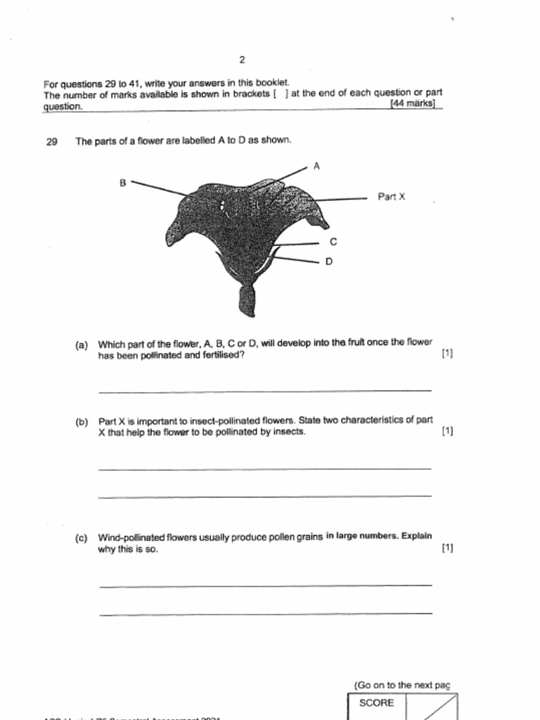 Acsj Sci | PDF
