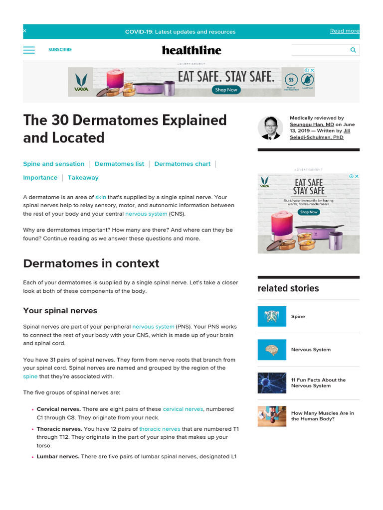 Dermatomes Diagram Spinal Nerves And Locations