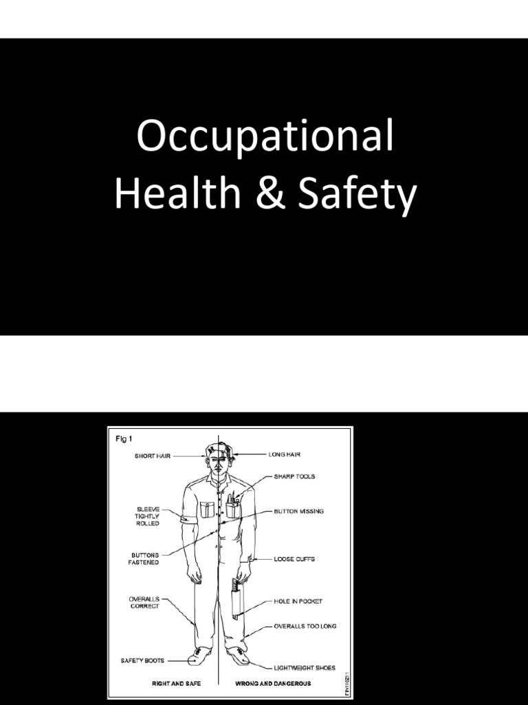 Health and Safety 1 - 43980744 | PDF