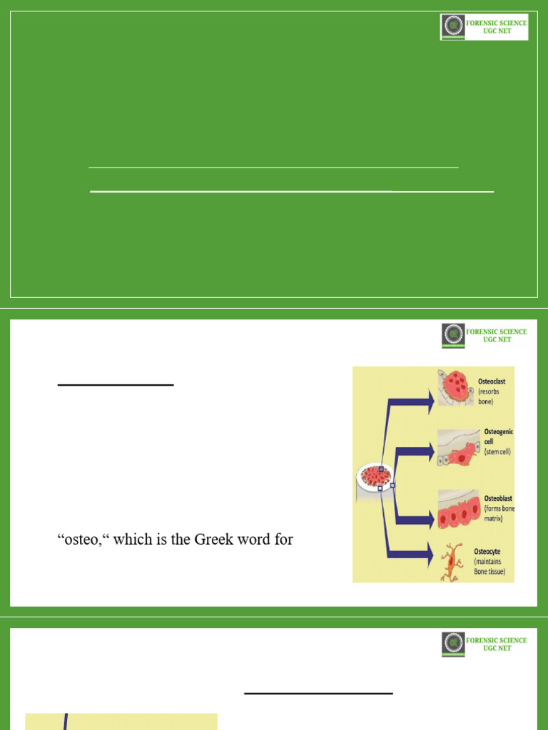 Types of Bone Cells | PDF | Bone | Osteoblast