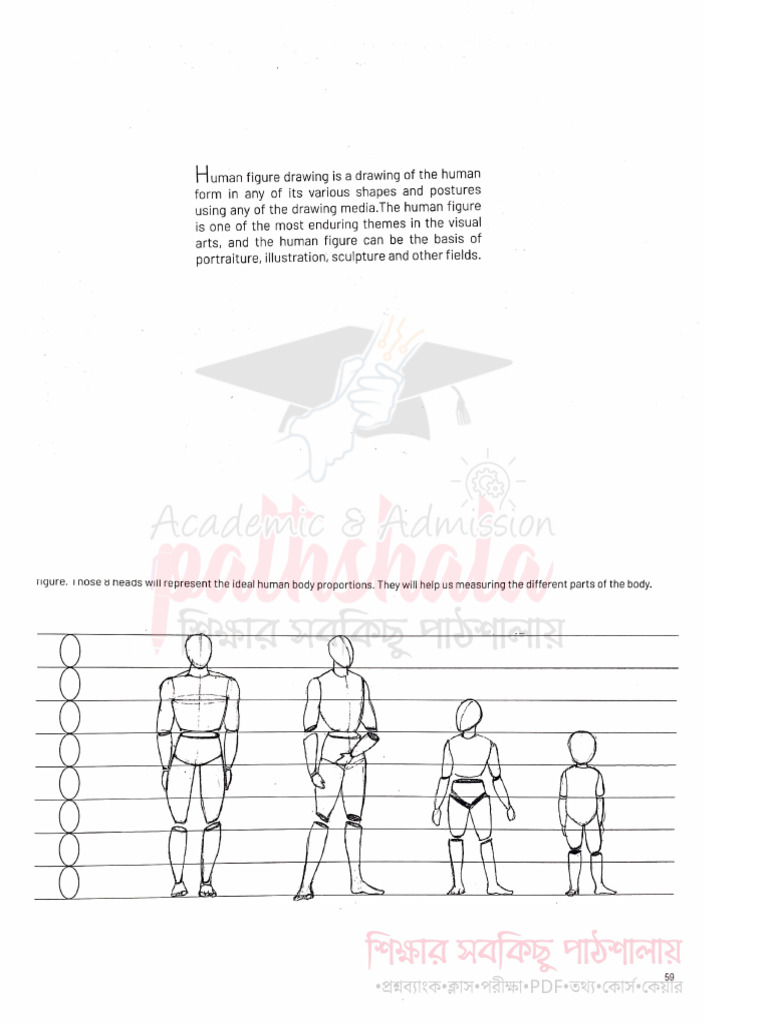 Human Figure | PDF