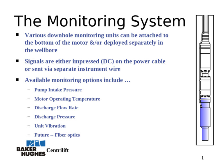 Downhole Monitoring System Options | PDF | Science & Mathematics ...