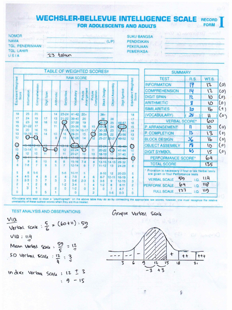 Tes Intelegensi WBIS | PDF