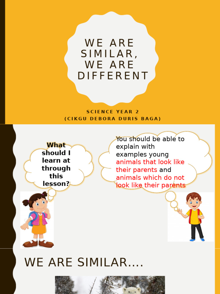 Animal Similarities and Differences | PDF | Self-Improvement | General ...