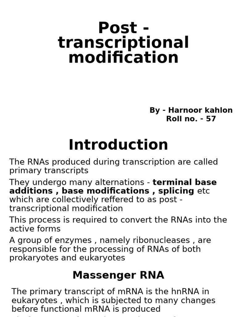 Presentation 4 | PDF | Messenger Rna | Rna