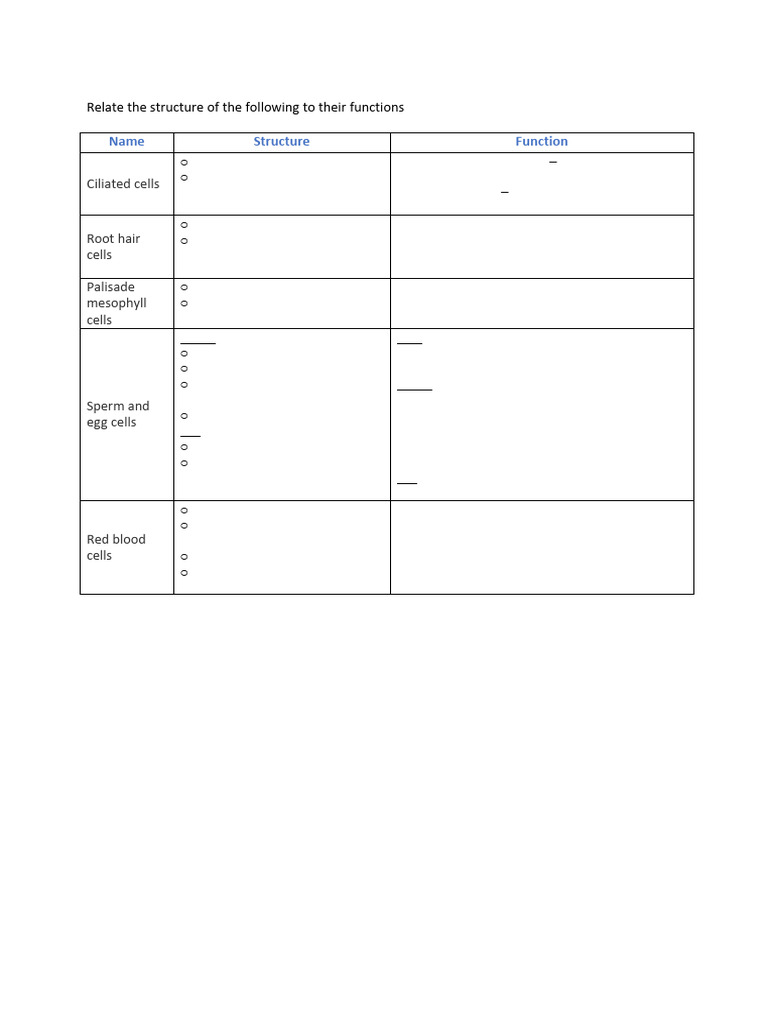UWC Science B1 SpecialisedCells | PDF | Chloroplast | Cell (Biology)