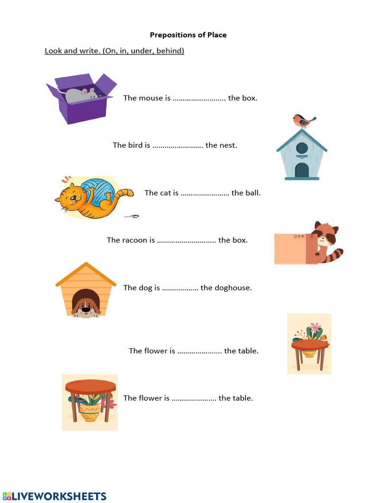 Look and Write. (On, In, Under, Behind) : The Mouse Is .. The Box | PDF ...
