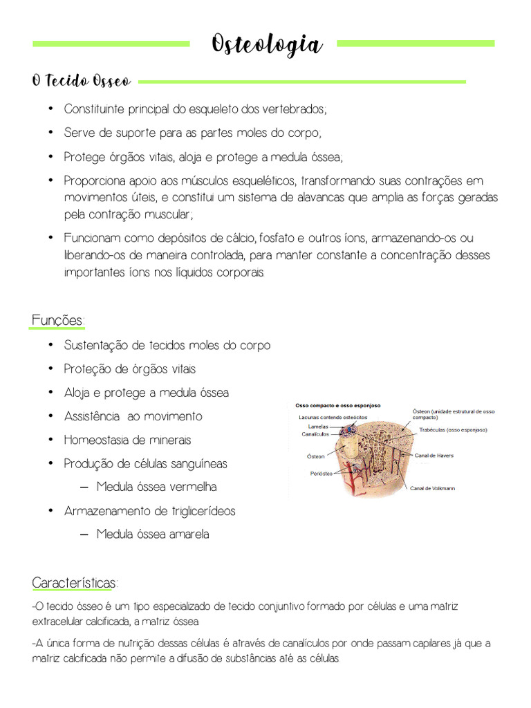 Osteologia Resumo | PDF | Osso | Anatomia