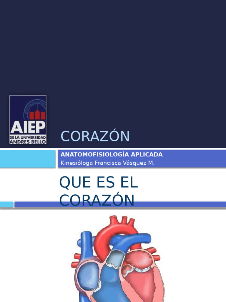 Corazon 10 | PDF | Corazón | Ventrículo (corazón)