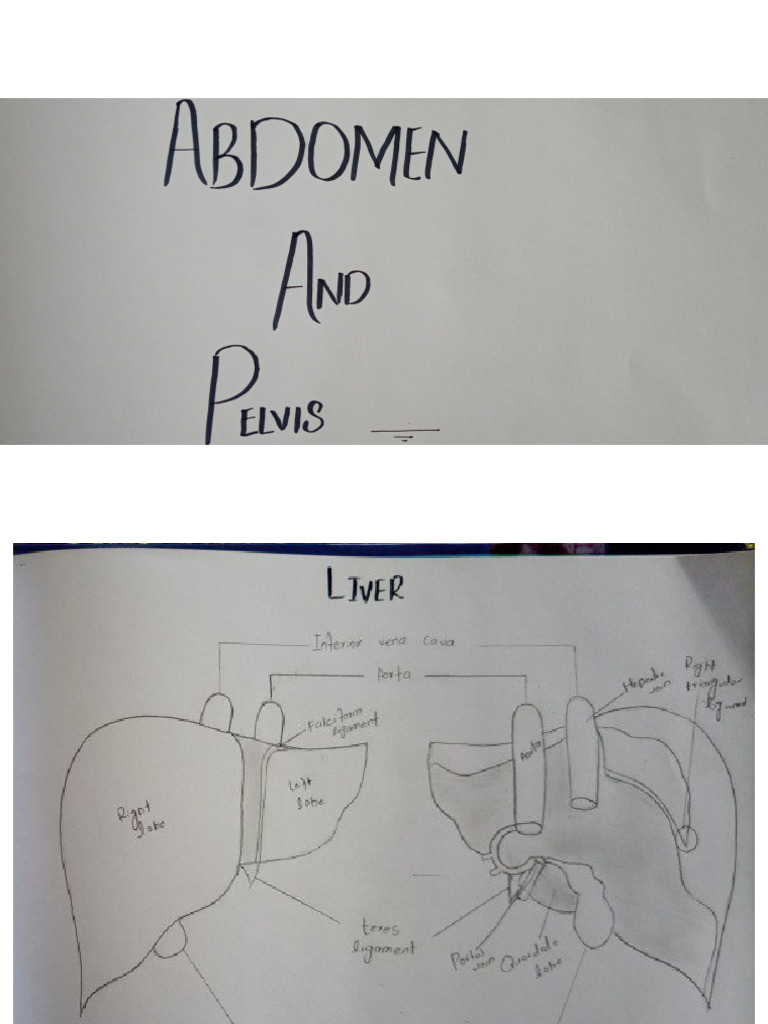 Sketch Book | PDF