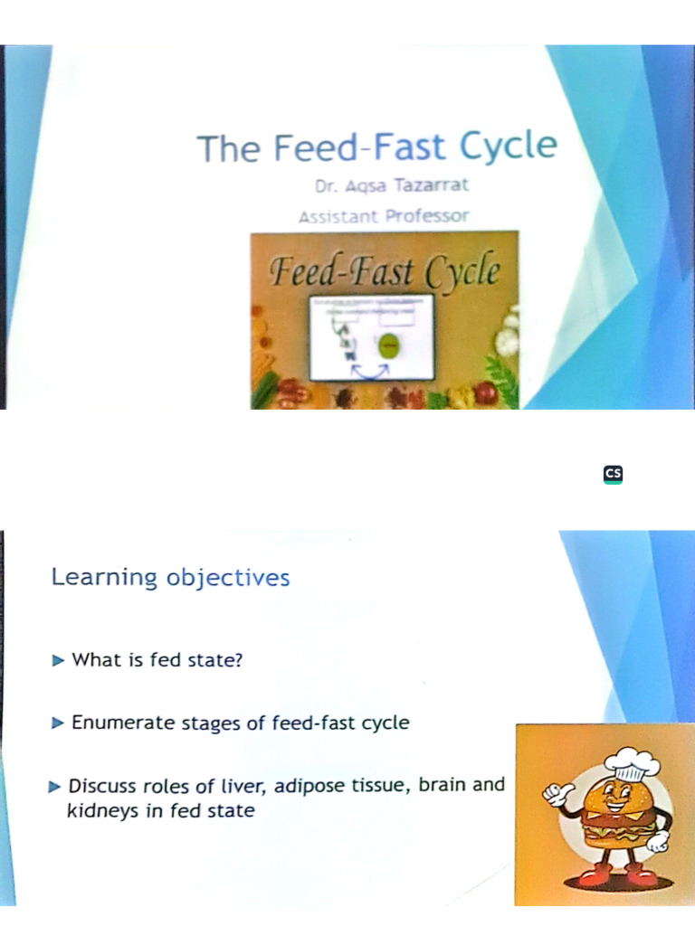 Feed - Fast Cycle | PDF
