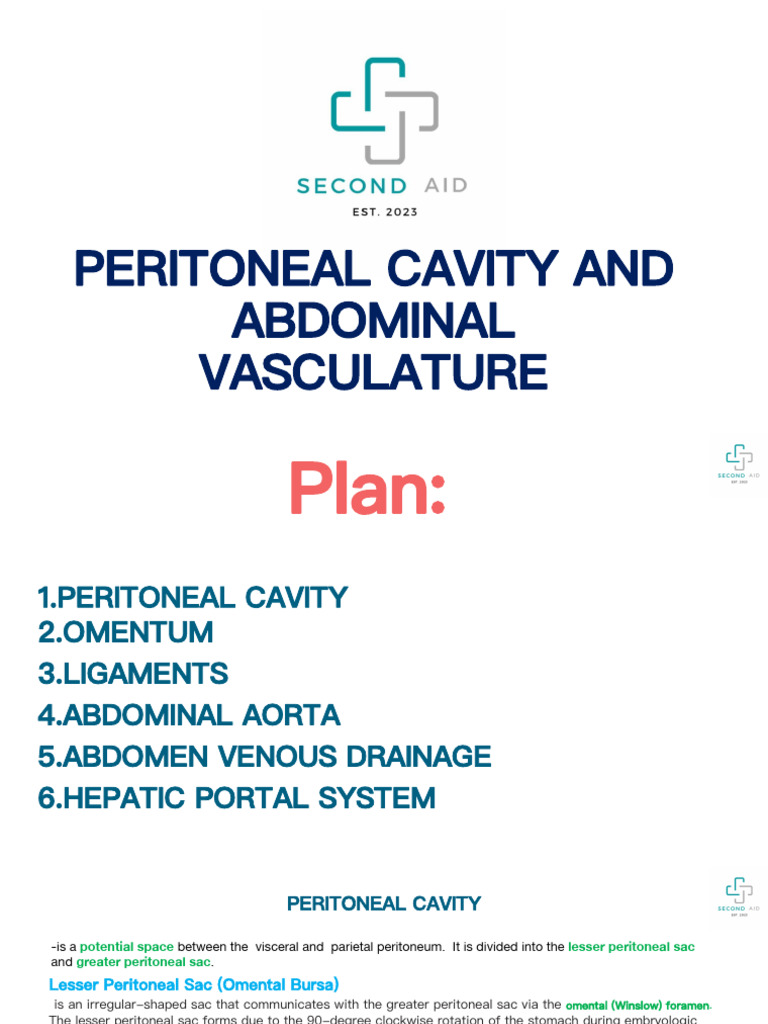 Peritoneal Bo'shliq Va Abdominal Organlarning Qon Bilan Ta'minlanishi ...