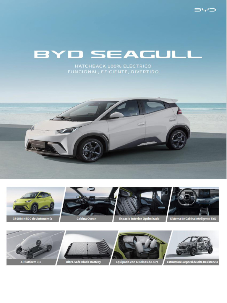 Seagull Byd - Eco Fleet - Ev Imports | PDF