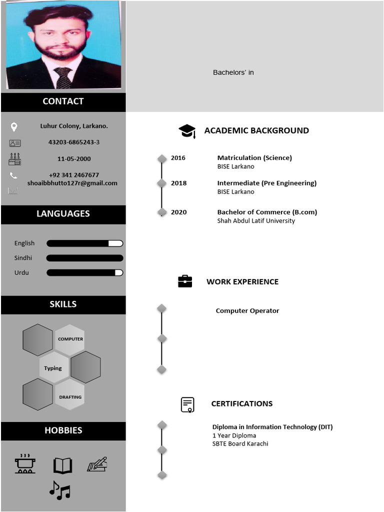 Entry-Level Professional Profile | PDF