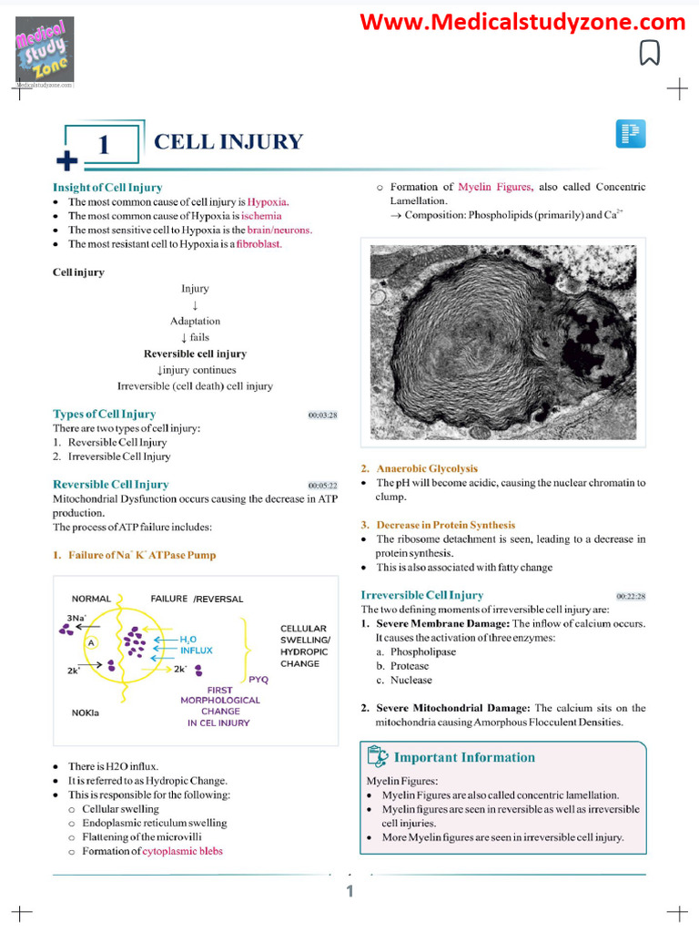(Medicalstudyzone - Com) Prep Pathology V5 Notes | PDF | Internet ...