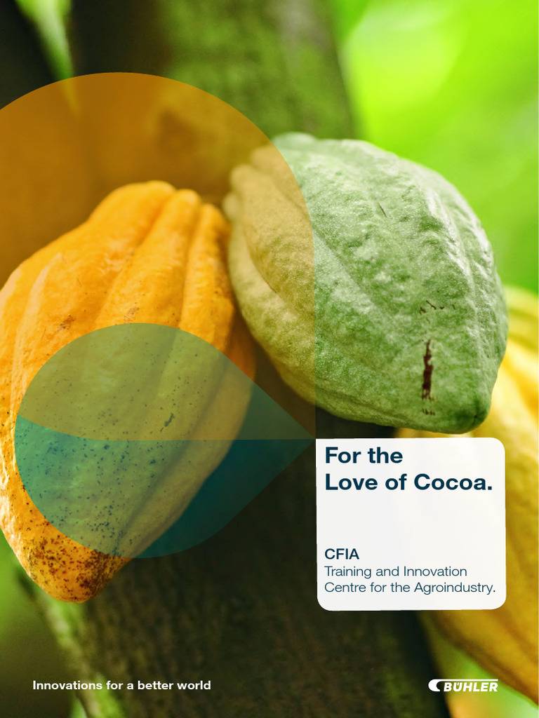 For The Love of Cocoa | PDF | Cocoa Bean