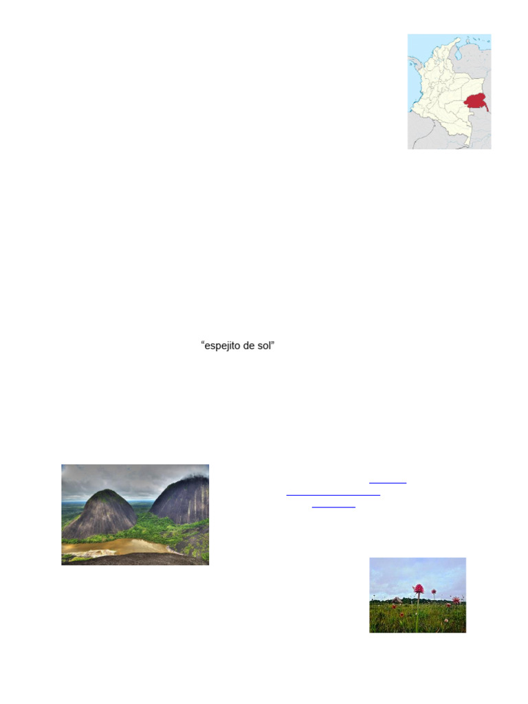 Guainía: Naturaleza y Cultura Indígena | PDF | Viajes y turismo ...