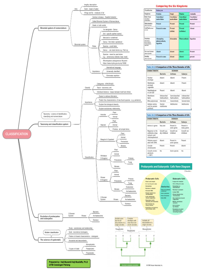 Mindmap Chapter 2 Classification | PDF | Taxonomy (Biology) | Taxa
