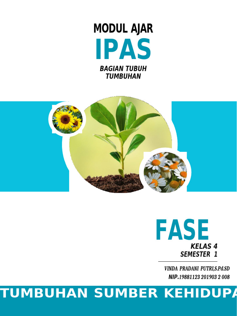 Ma Ipas Bagian Tubuh Tumbuhan Ok | PDF