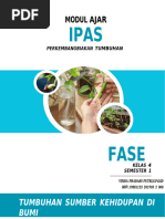 Modul Ajar Berdiferensiasi Dan Terintegrasi PSE Mapel IPAS Kelas 4 ...