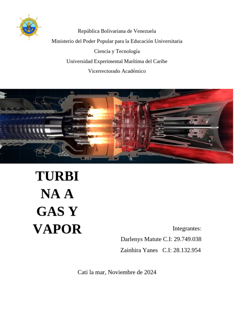 TURBINAS | PDF | Turbina | Máquina de vapor