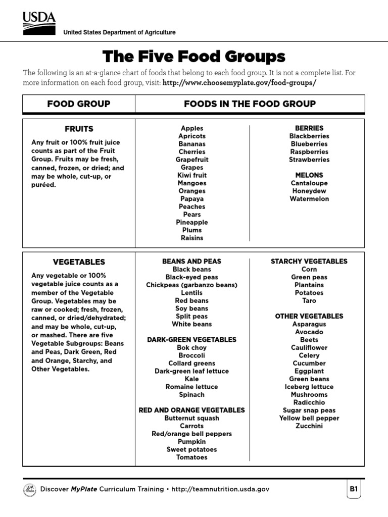 MyPlate Food Groups Overview | PDF | Whole Grain | Cereals