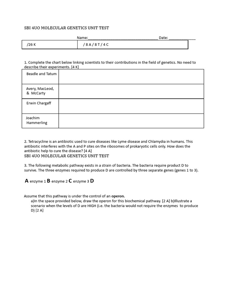 3.13.1 Molecular Genetics Unit Test-8by11 | PDF | Messenger Rna | Operon