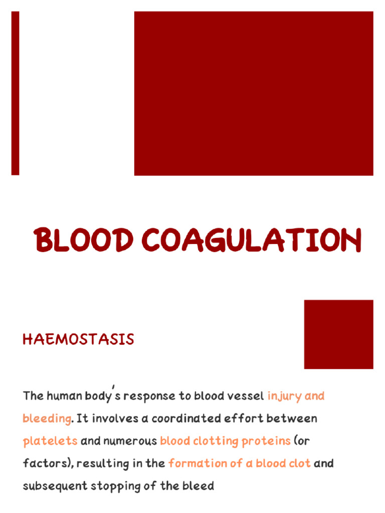 Blood Coagulation | PDF