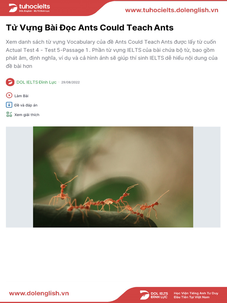 Ants Could Teach Ants | PDF