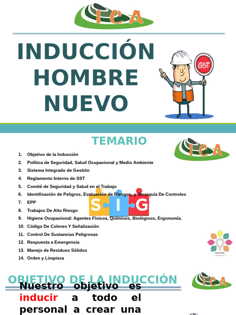 Inducción en Seguridad y Salud Laboral | PDF | Seguridad y salud ...