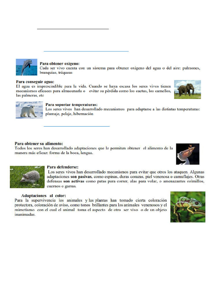 Adaptaciones de Los Animales | PDF